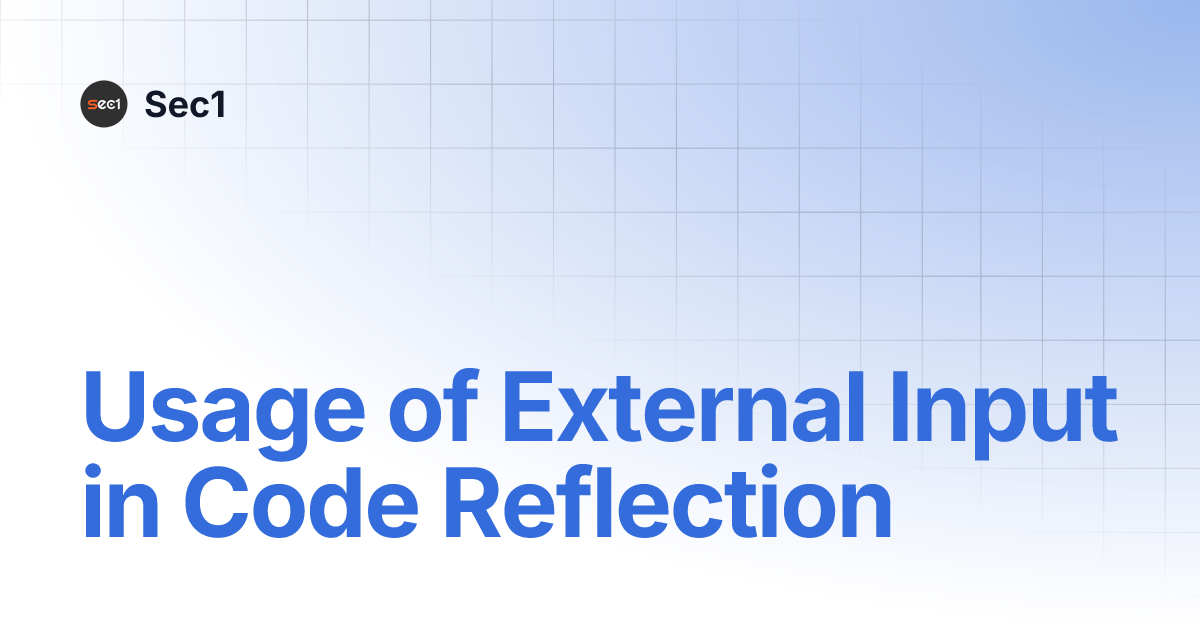 Usage of External Input in Code Reflection | Sec1